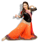 The King of Bollywood – Authentic Bollywood & Indian Cultural Dance